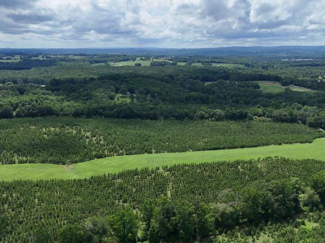 LOT 1 Stateline Road