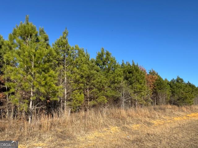 LOT 1A Whitfield Road