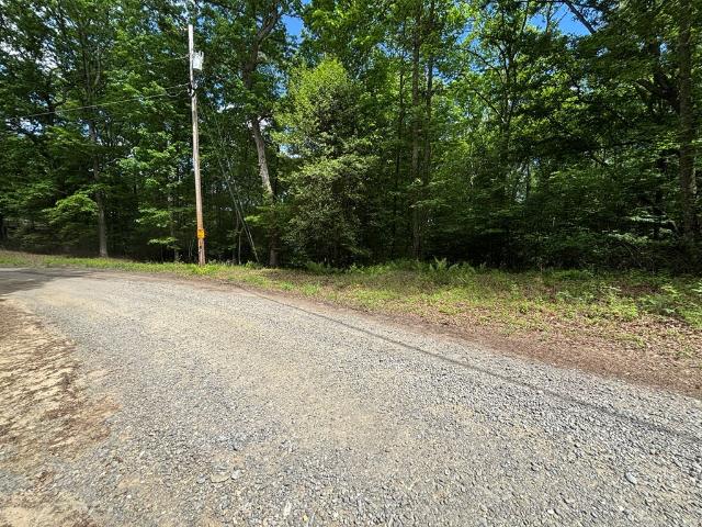 Lot 1B Forest Lane