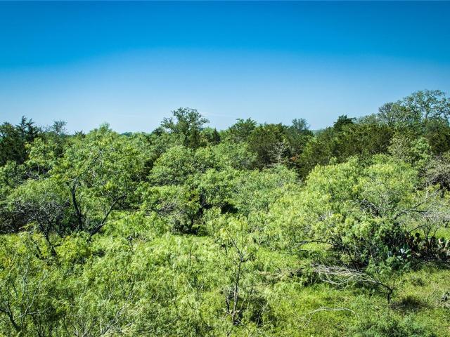 Lot 1C Shiloh Dr