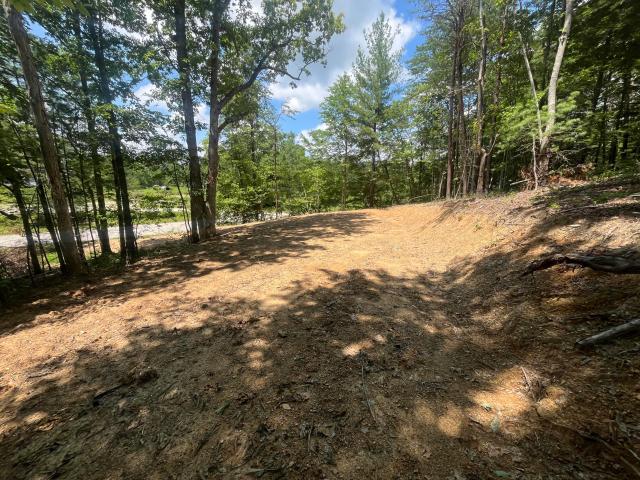 Lot #1j Ashland Camp Loop Zoe Ky