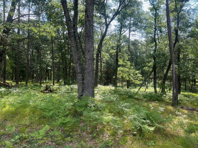 Lot 207 Deerpath Ter, Danbury, WI 54830 | MLS #6565