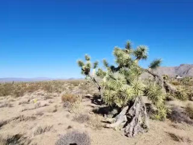 Lot 207 E Mary Dr, Yucca, AZ 86438 MLS 026237