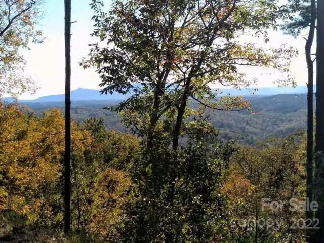 Lot 207 Golden Ridge Dr, Lake Lure, NC 28746 MLS 3751691