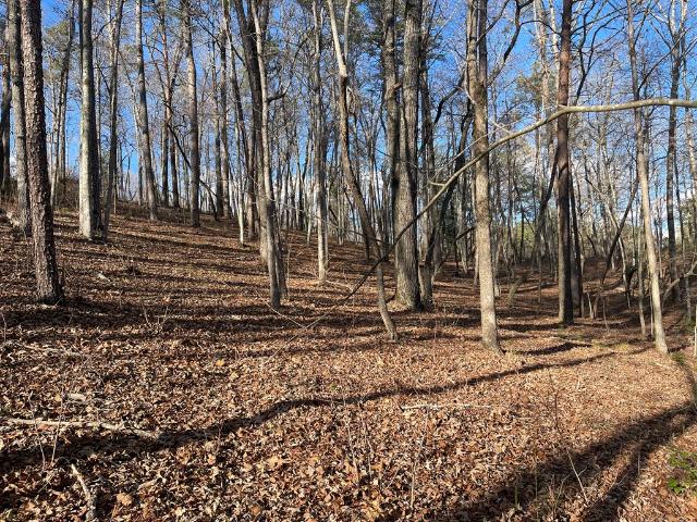 Lot#208 Pinnacle Dr, Ellijay, GA 30540 | MLS #425284