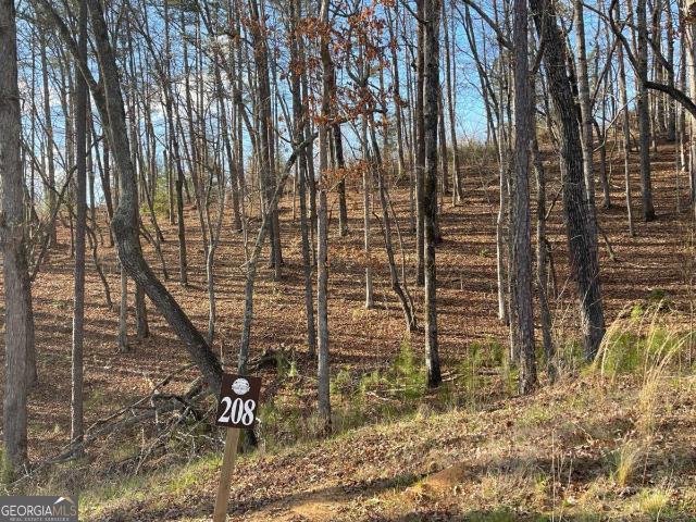 LOT# 208 Pinnacle Drive 208