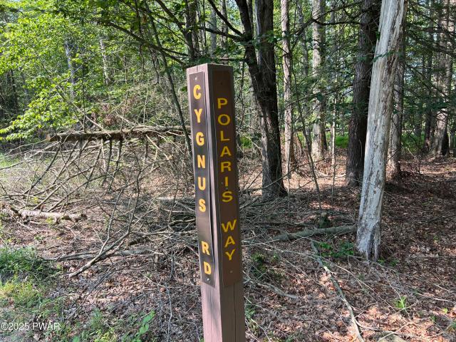 LOT 209 Cygnus Road