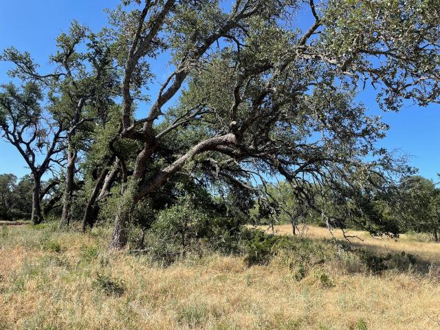 Lot 200 Swamp Creek Cove