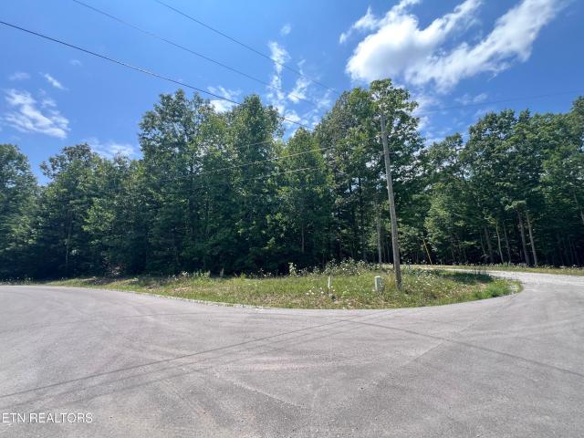 Lot 202 Elzies Way
