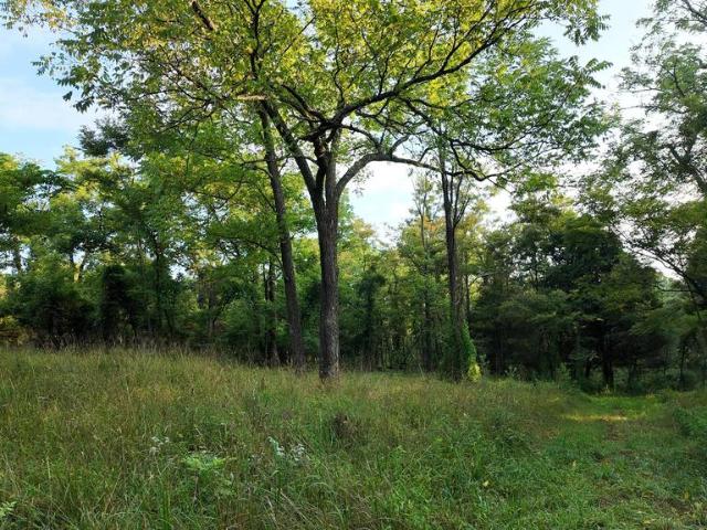 Lot 203 Graces Cabin Road