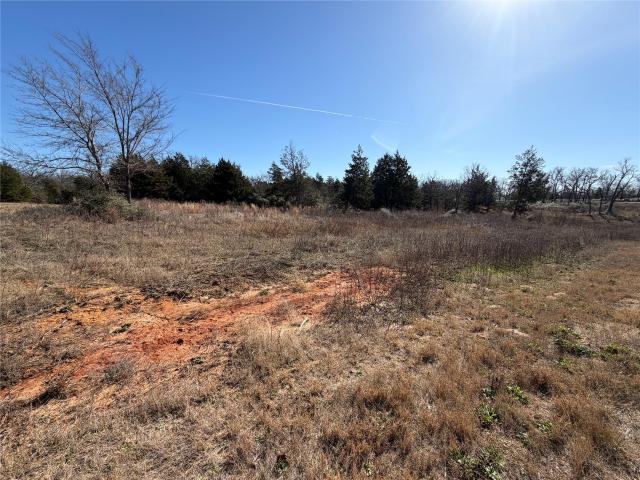 Lot 20 Cr 389