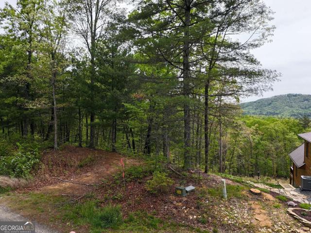Lot 20 Crabapple Ln, Mineral Bluff, GA 30559 | MLS #10509 | Compass