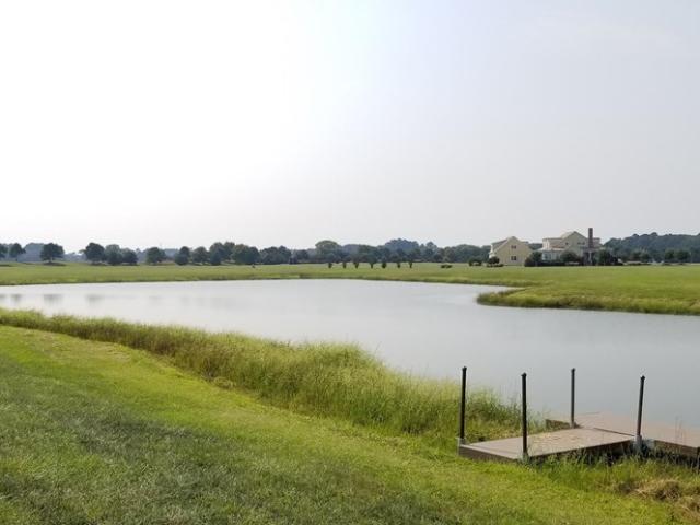 Lot 20 Crippen View