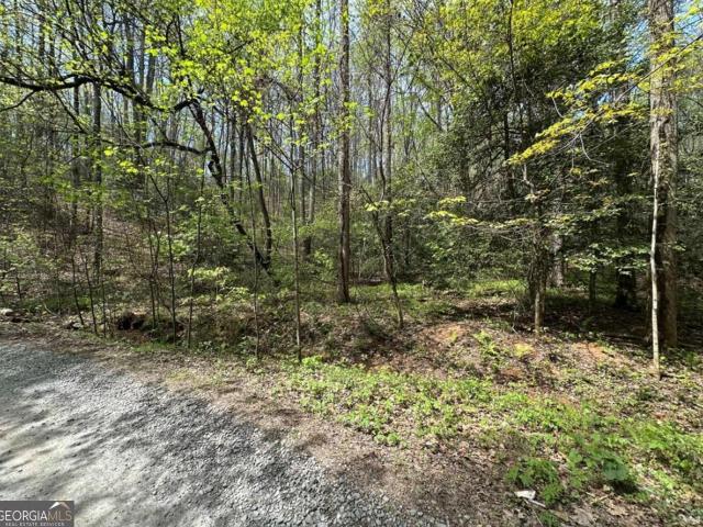 Lot 20 Big Ben Rd, Unit 20, Ellijay, GA 30540 | MLS #10731 | Compass