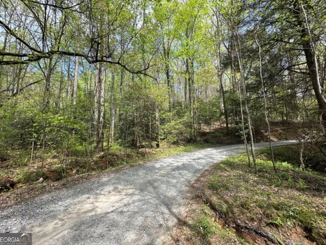 LOT 20 Big Ben Road 20