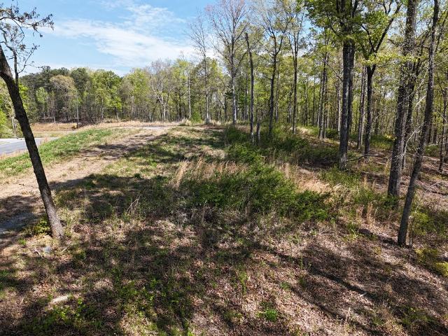 Lot 20 Blalock Mountain Rd, Talking Rock, GA 30175 | MLS #430205