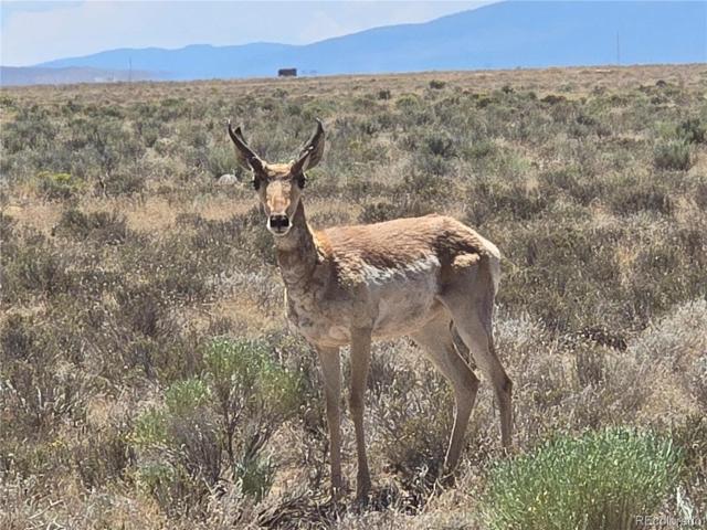 Lot 20 Gallup Trail