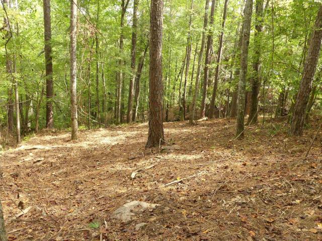 Lot 20 foster cove drive # 20