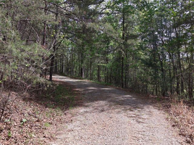 LOT 20 Horseshoe Bend Road
