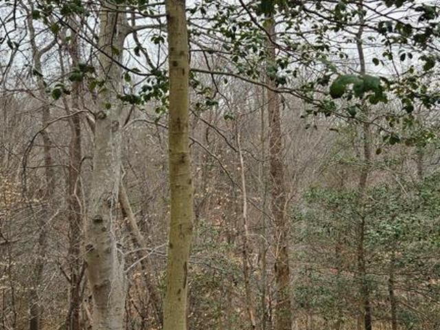 Lot 20 Hidden Lake Dr