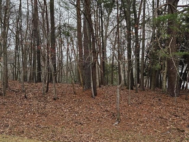Lot 20 Hidden Lake Dr, Montross, VA 22520 | MLS #VAWE2010