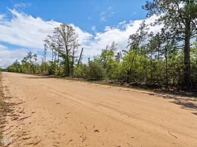 Lot 20 Lincoln Ave, Alford, FL 32420 MLS 754774