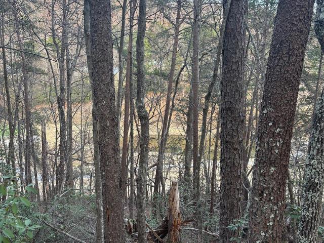 Lot 20 Nicklaus Ln, Lake Lure, NC 28746 | MLS #4350