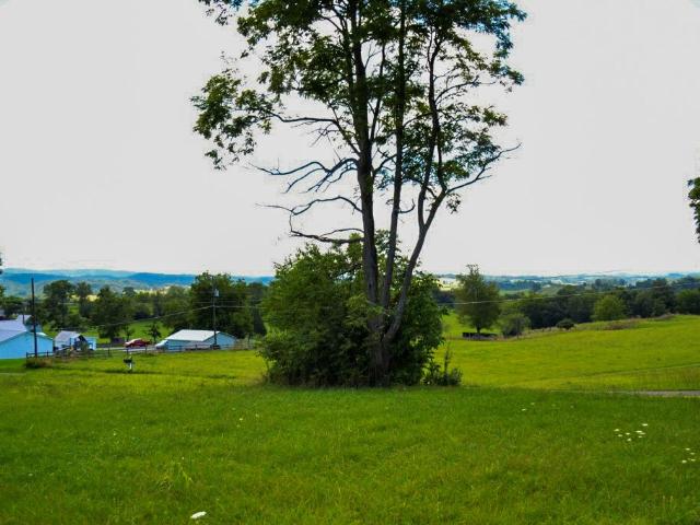 Lot 20 S Petunia Road