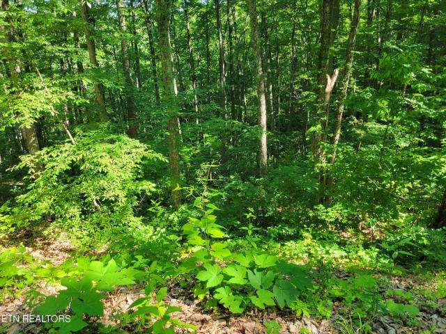 Lot 20 Sunset Drive