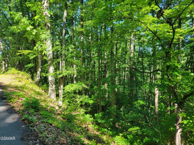 Lot 20 Sunset Drive