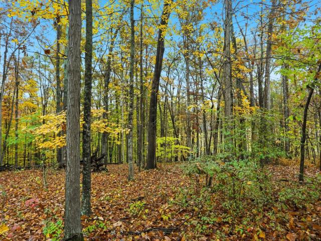 Lot 20 Ridgeway Drive