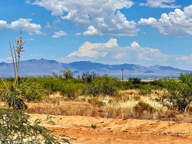 Lot 20 Willcox Road # 20