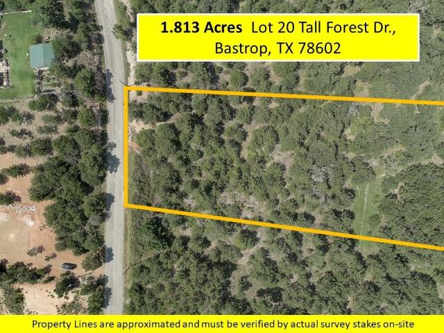 Lot 20 Tall Forest Dr