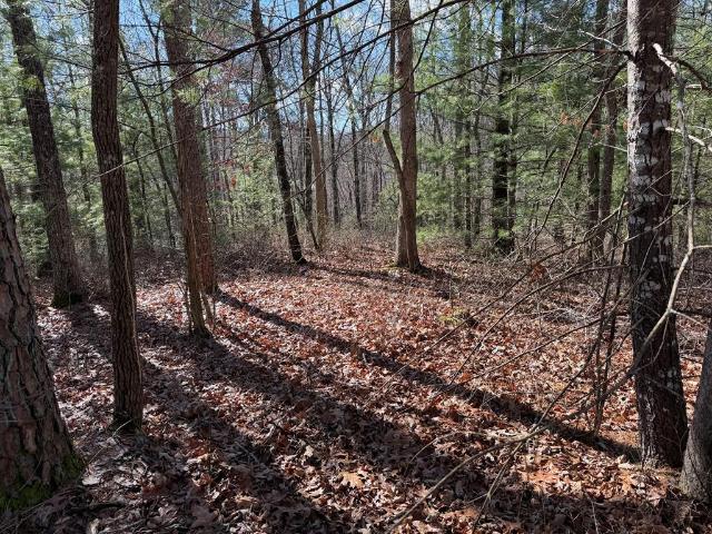Lot #20 Yellow Maple Drive # 20
