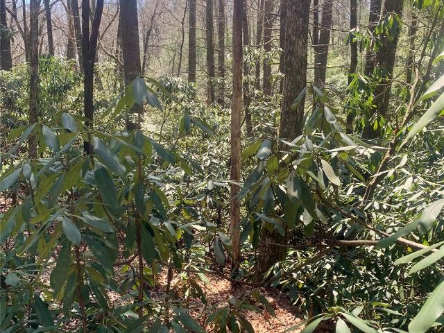 Lot 20A Indian Lake Road # 20A