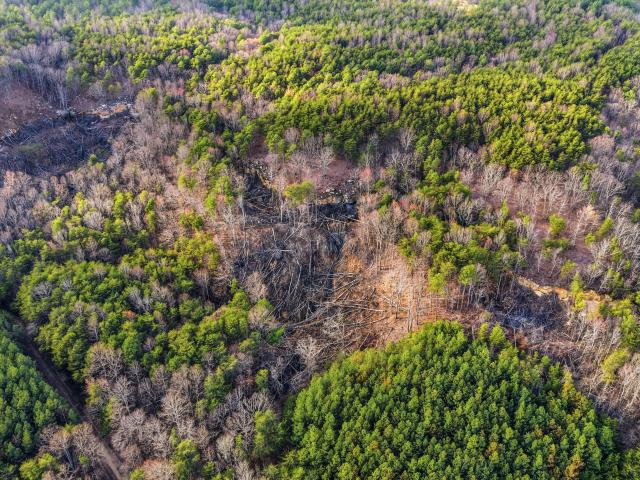Lot 2154 Fallen Oak Pass