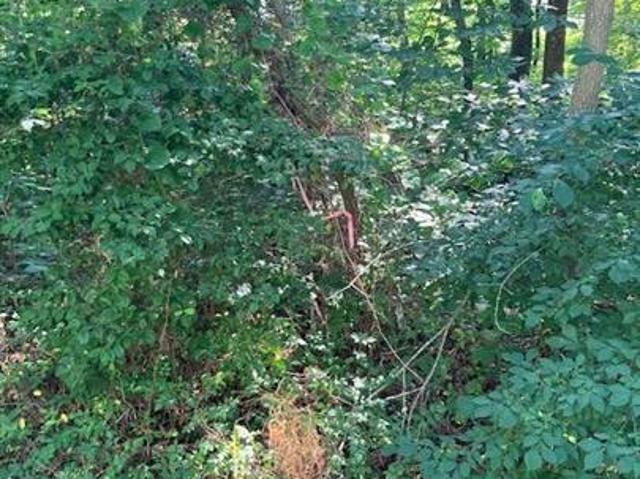 Lot 215 Bay Pointe Dr, Montross, VA 22520 | MLS #VAWE2010 | Compass