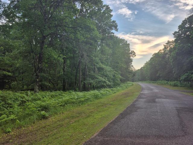 Lot 216 Deerpath Road