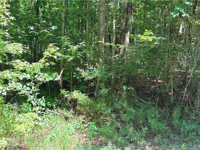 Lot 2177 N Sundew Drive