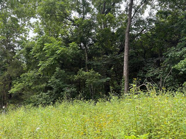 Lot 219 Big Creek Road