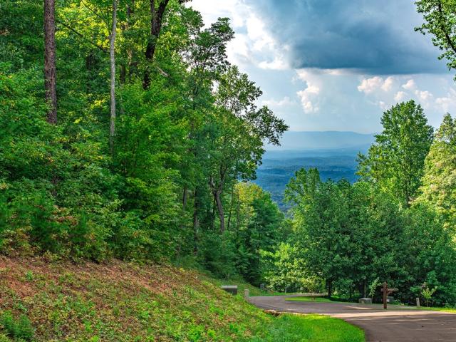 Lot 219 Stone Cliff Dr, Talking Rock, GA 30175 | MLS #418208