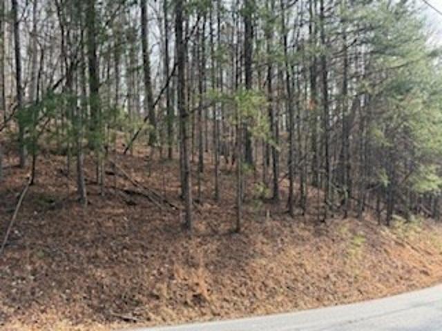 Lot 2119 Newport Dr, Ellijay, GA 30540 | MLS #424967