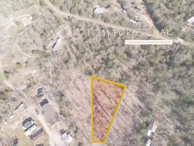 Lot 211 Forest Oak, Somerville, TX 77879 MLS 62763105