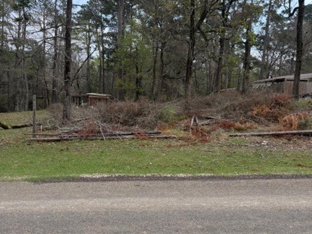 Lot 213 Dogwood Dr, Trinity, TX 75862 | MLS #69329 | Compass