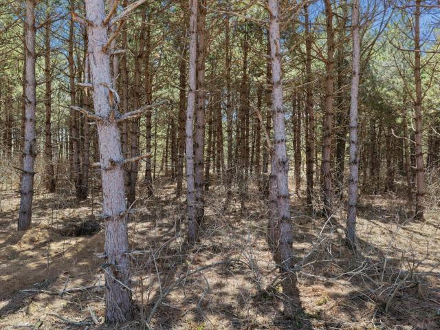 Lot 21 119th Avenue