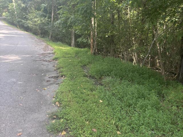 Lot 21 22 Log Cabin Road