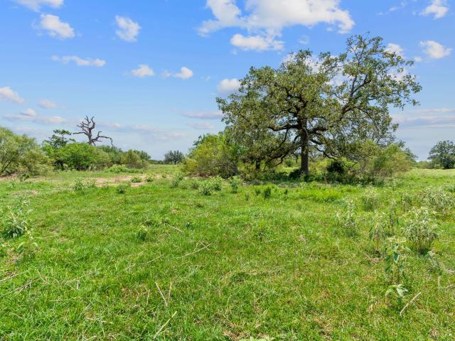 Lot 21 County Road 402, Flatonia, TX 78941 | MLS #1832 | Compass