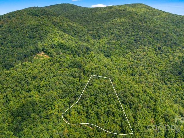 Lot 21 Cat Pen Branch Road