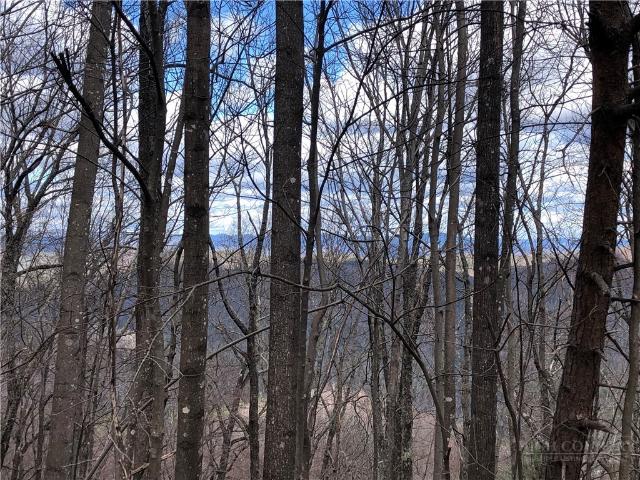 Lot 21 Bobcat Mountain Road