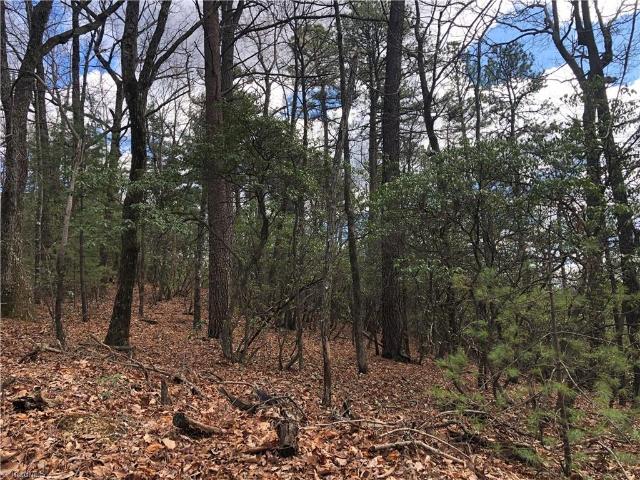Lot 21 Bobcat Mountain Road